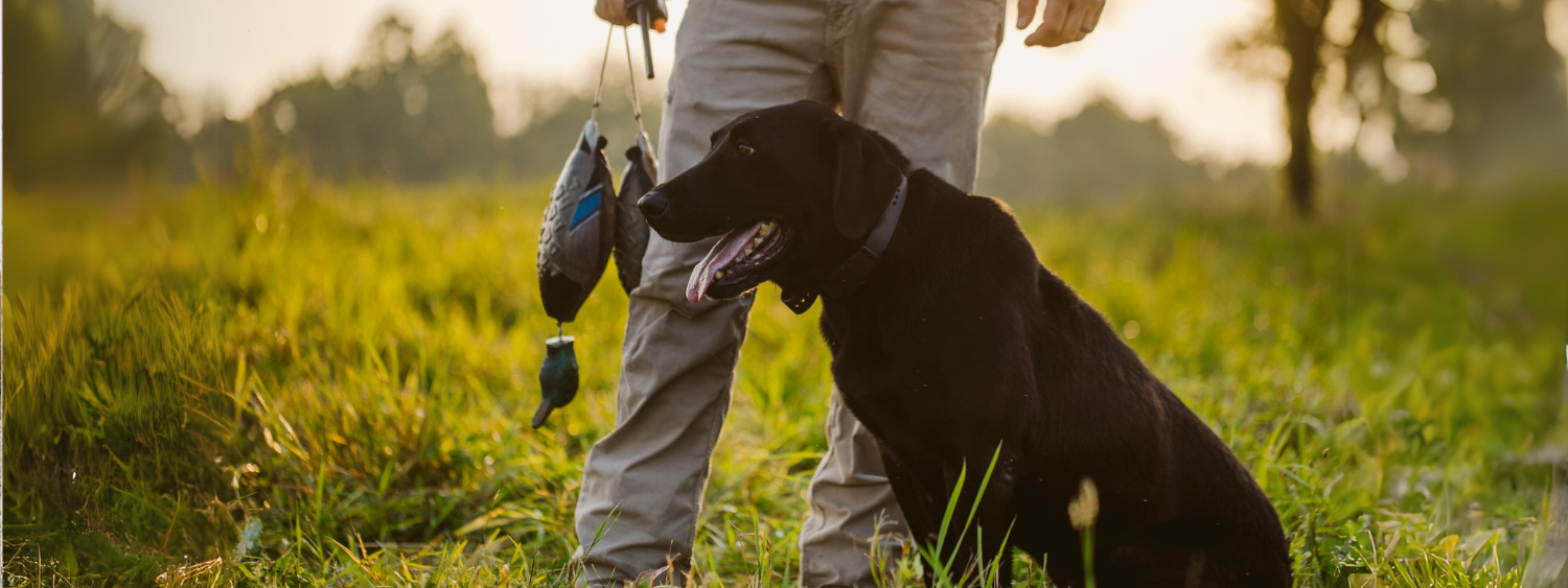 Small/Big Game – MyDogtra.com