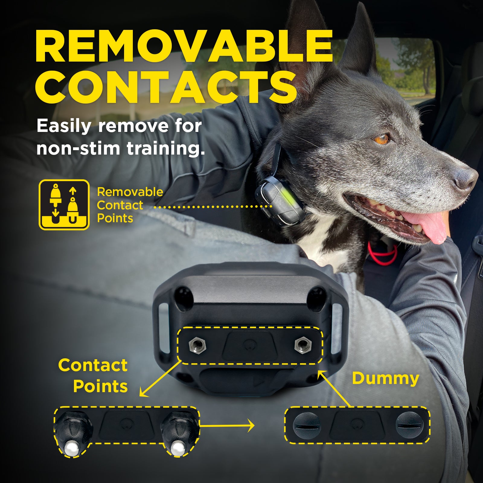 280X 1-DOG UNIT – MyDogtra.com