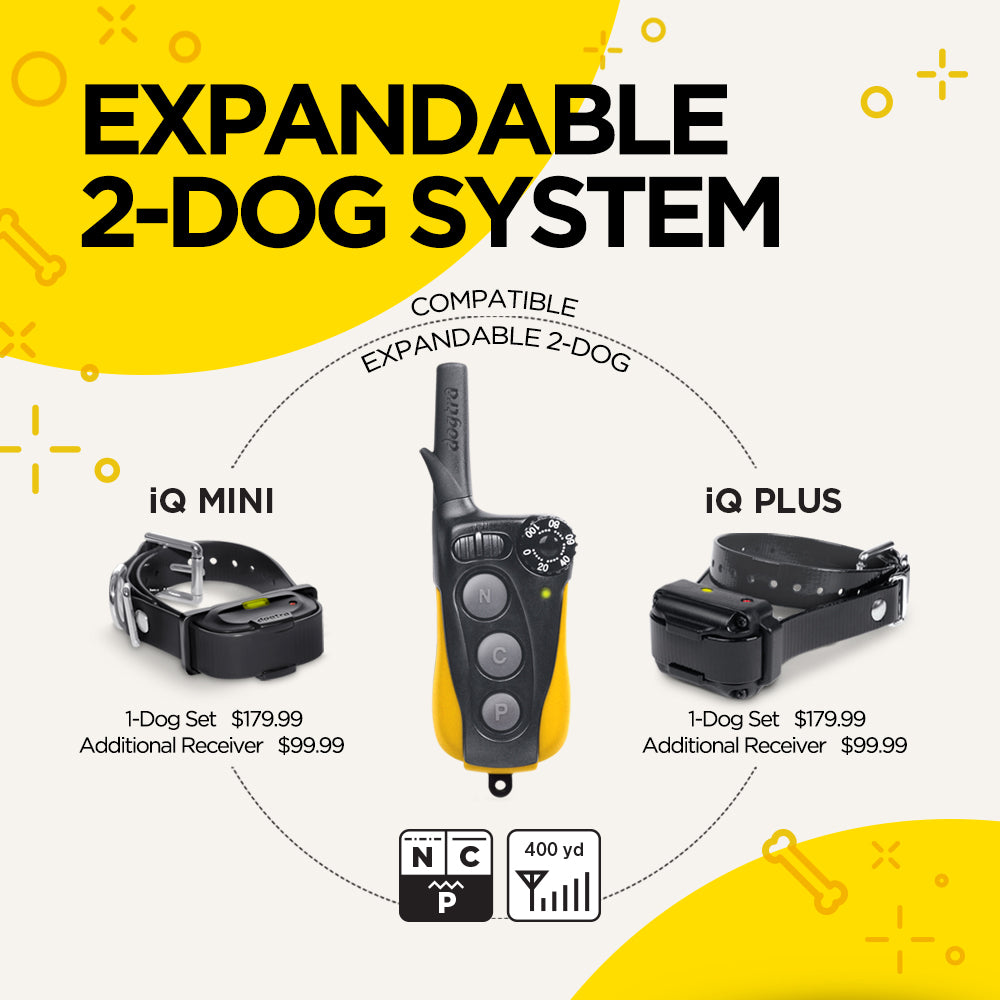 iQ MINI – mydogtra
